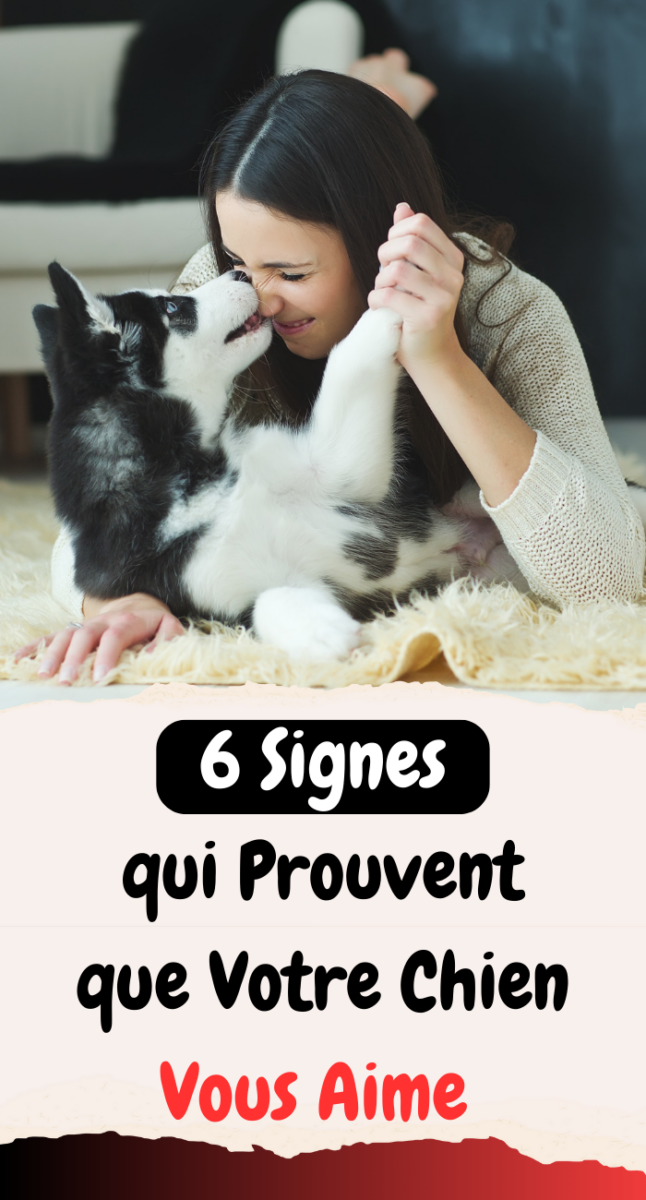6 Signes qui Prouvent que Votre Chien Vous Aime Vraiment