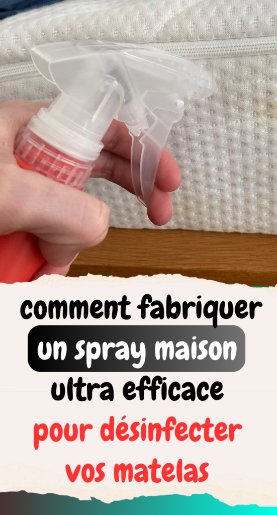 Comment fabriquer un spray maison ultra efficace pour désinfecter vos ...